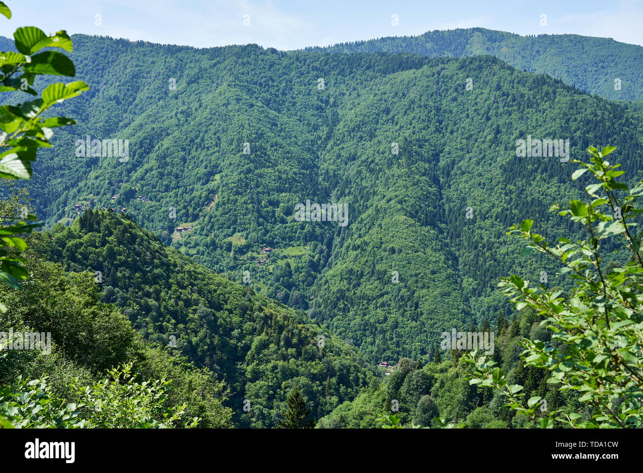 Mountains are covered with forest at northeastern Black Sea (Karadeniz ...