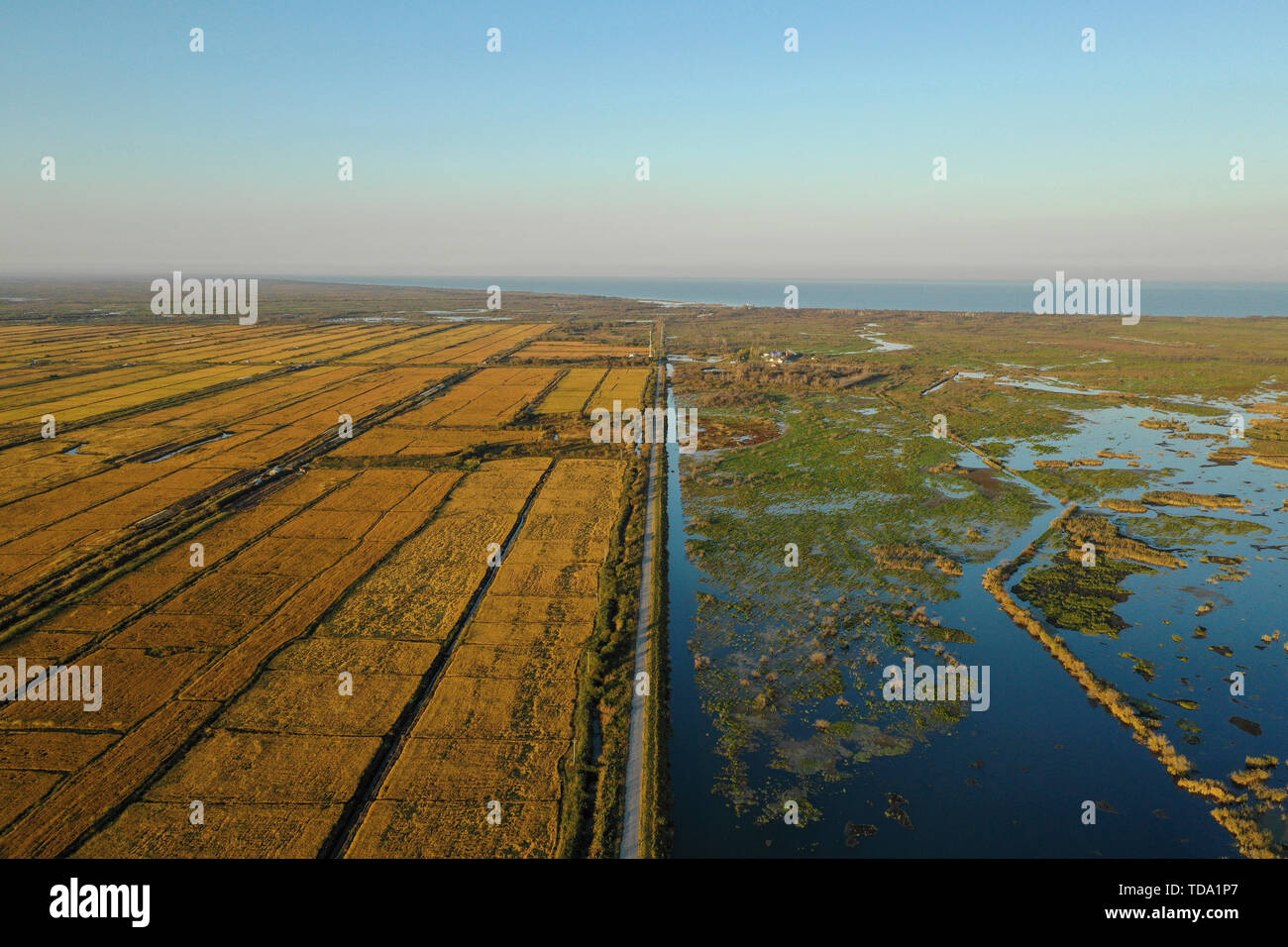 Sino-Russian border lake Xingkai lake autumn color Stock Photo - Alamy