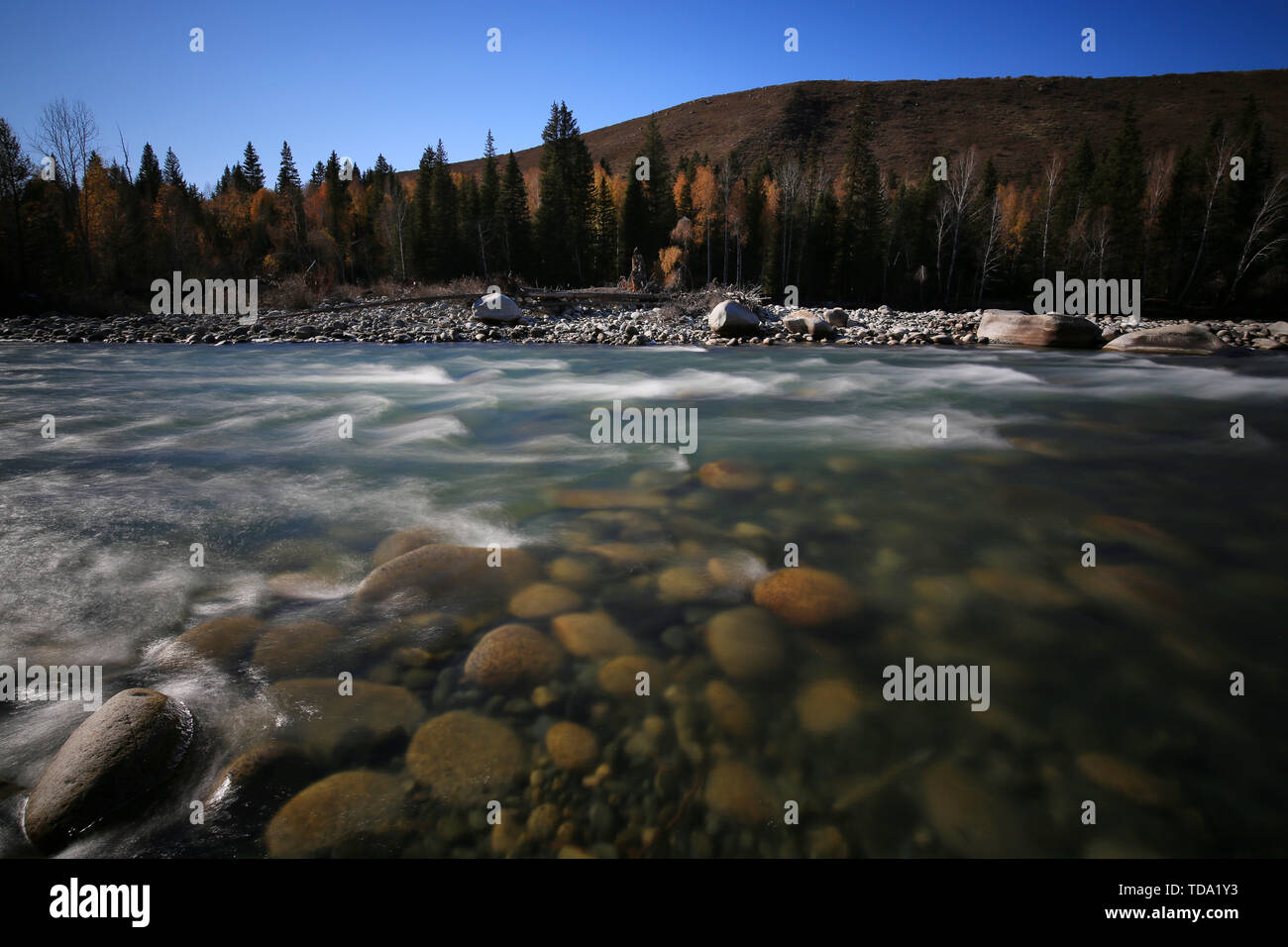 Autumn color of grasses Stock Photo - Alamy