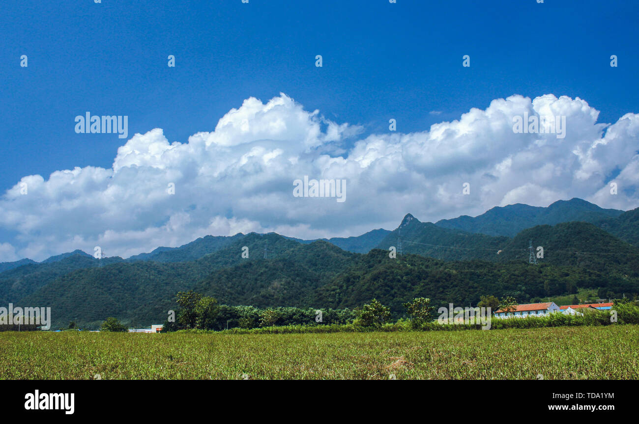 Summer in Qinling Stock Photo - Alamy
