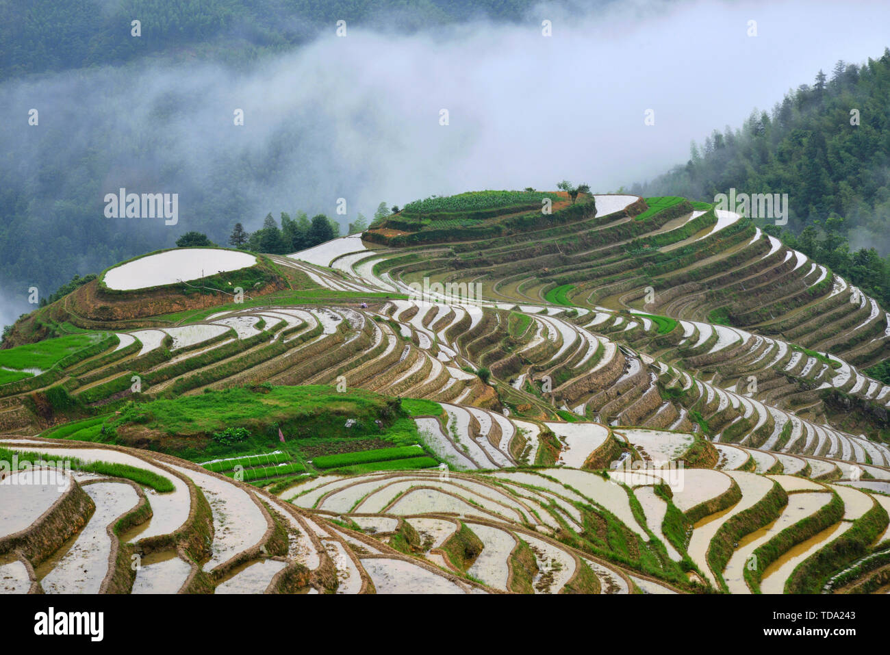Guangxi dragon ridge terraces beautiful world Stock Photo - Alamy