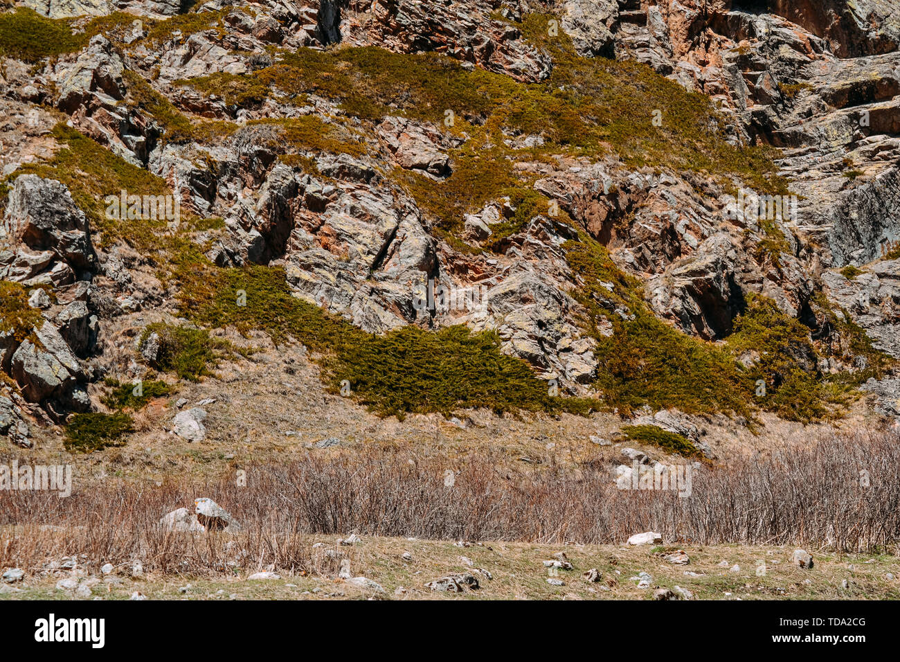 photo and texture of the stone mountains in the daytime Stock Photo - Alamy