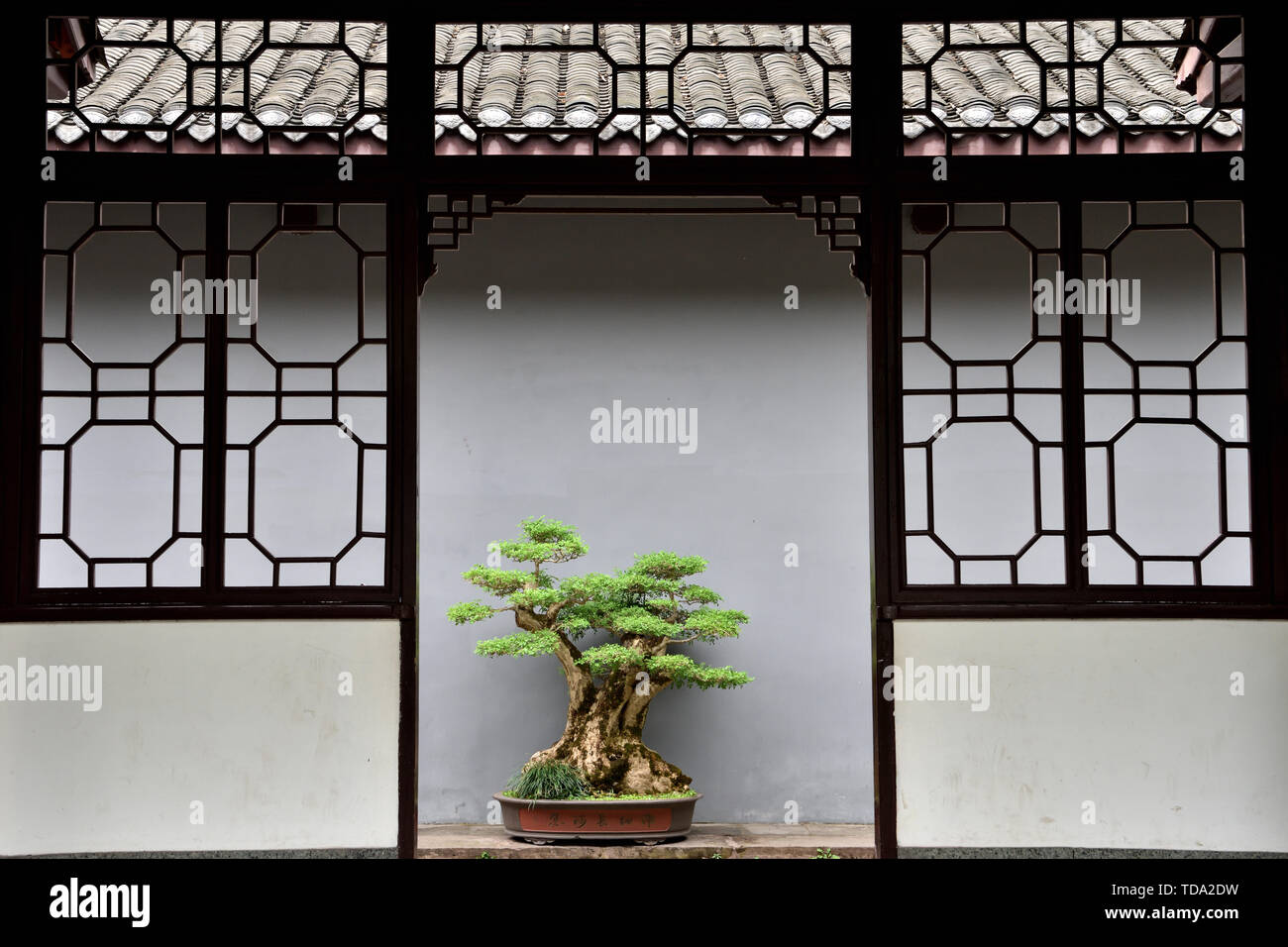 Photographed in Du Fu Cottage in Chengdu in April 2019. A mecca with ...