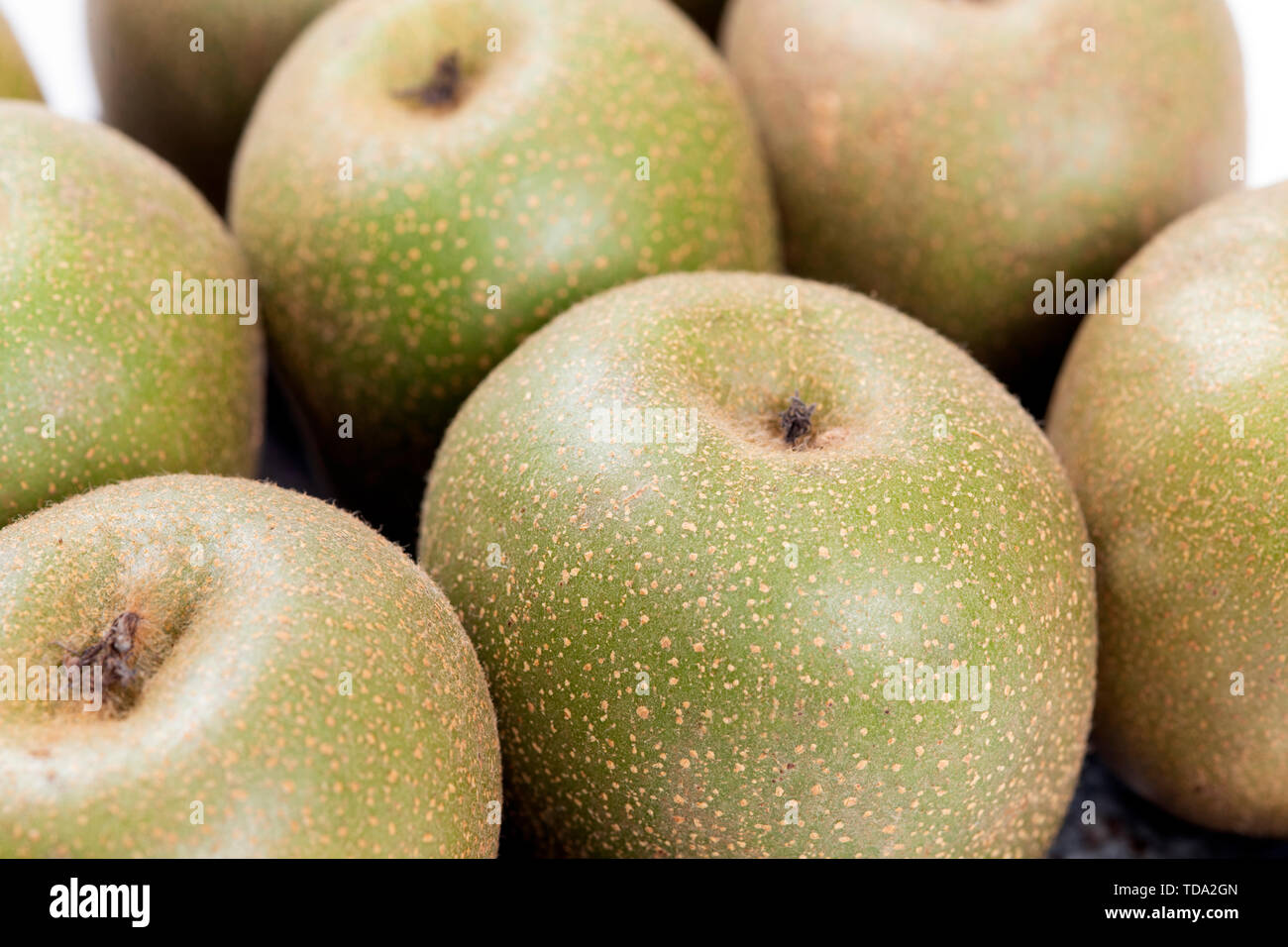 Fox soup hi-res stock photography and images - Alamy