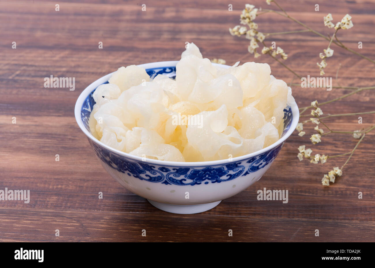 Stomach Fungus High Resolution Stock Photography and Images - Alamy