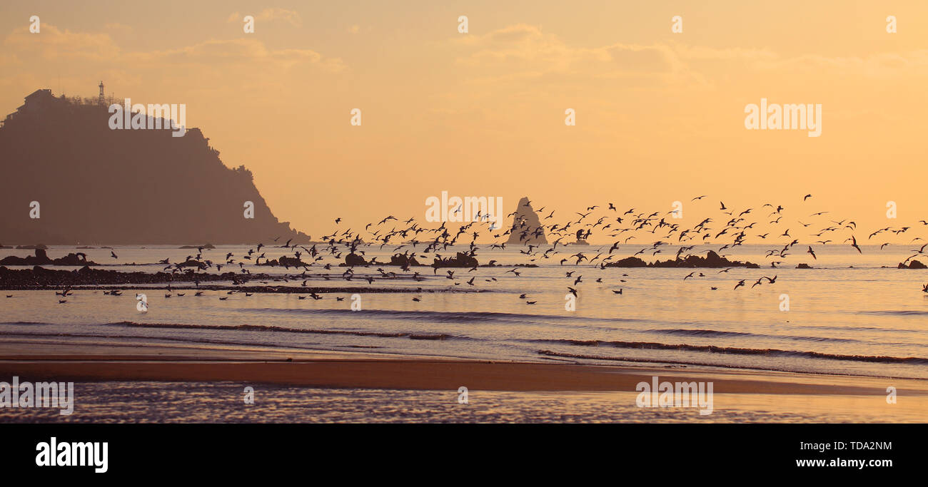 A batch of wind films Stock Photo - Alamy