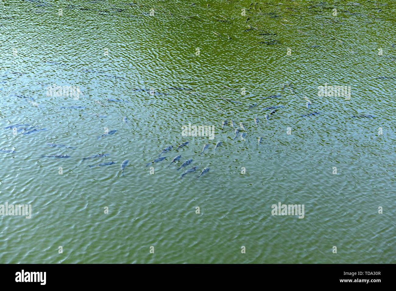 Dam mural painting hi-res stock photography and images - Alamy