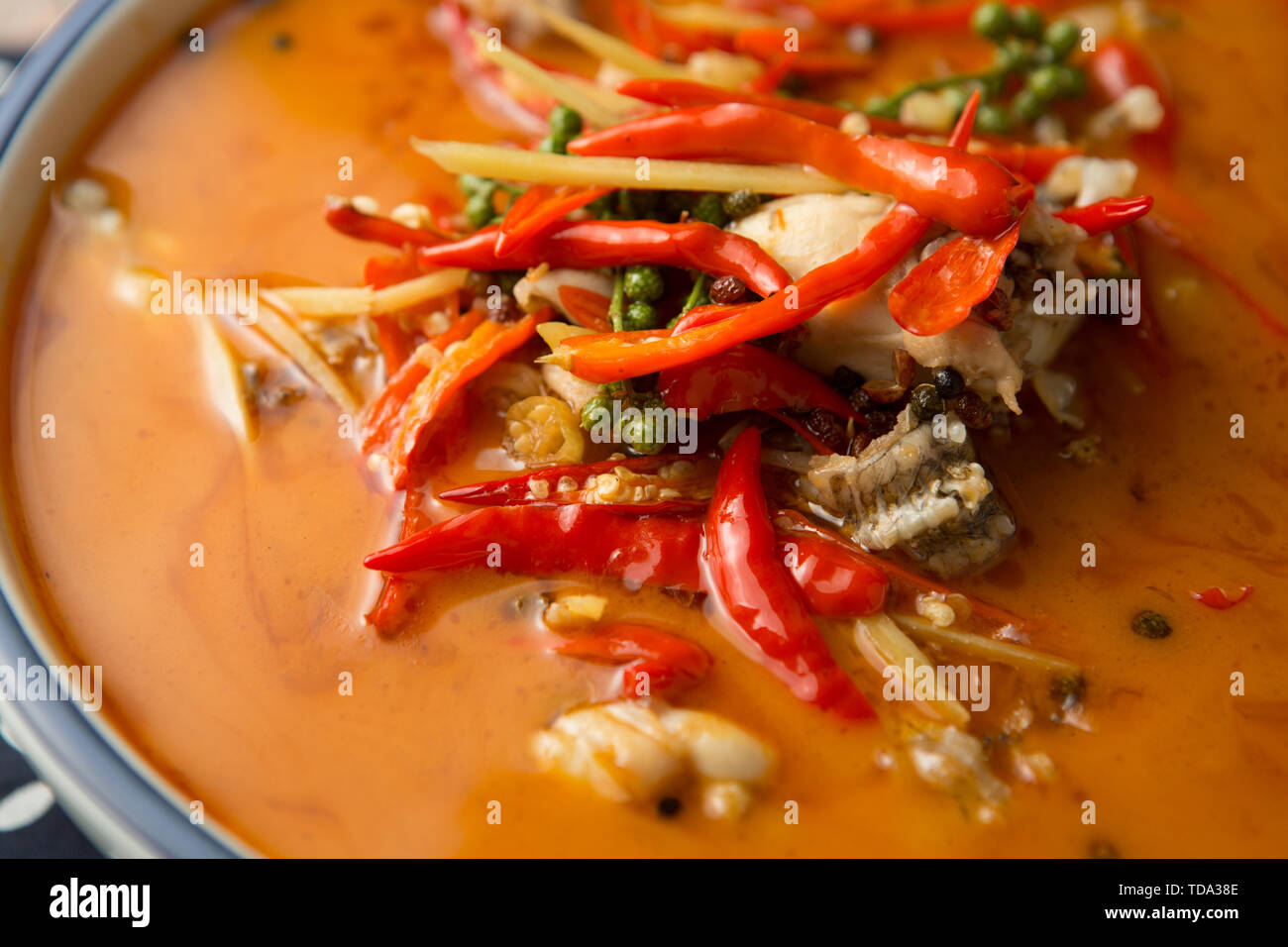 Ginger beautiful frog Stock Photo - Alamy