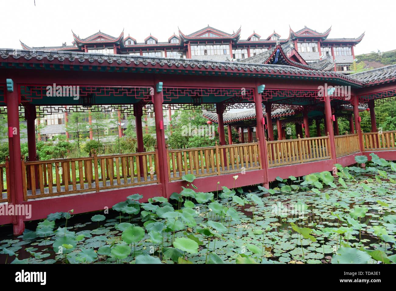 Antique architecture and lotus pavilion lotus Stock Photo - Alamy