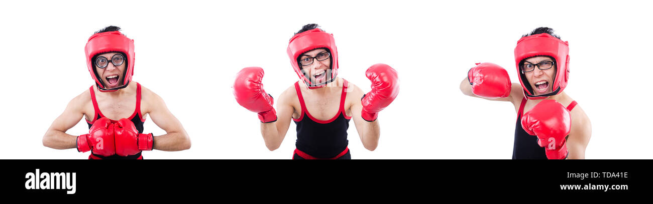 Funny boxer isolated on the white background Stock Photo - Alamy