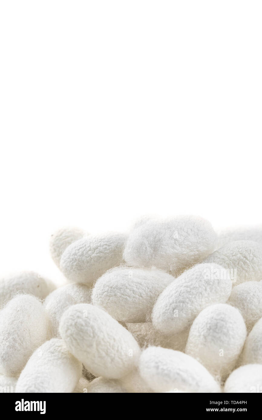 Smooth cocoon hi-res stock photography and images - Alamy