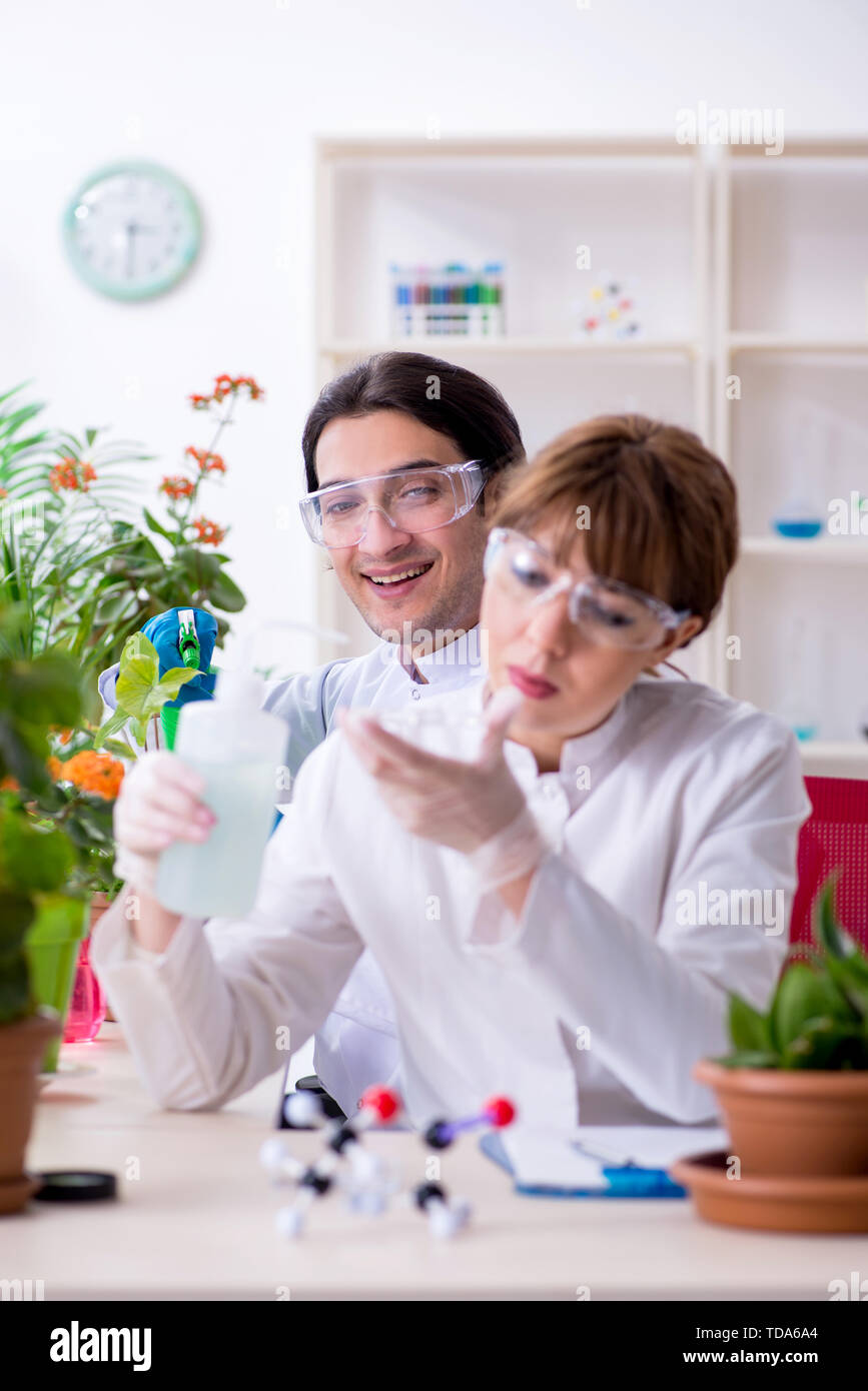 The two young botanist working in the lab Stock Photo - Alamy