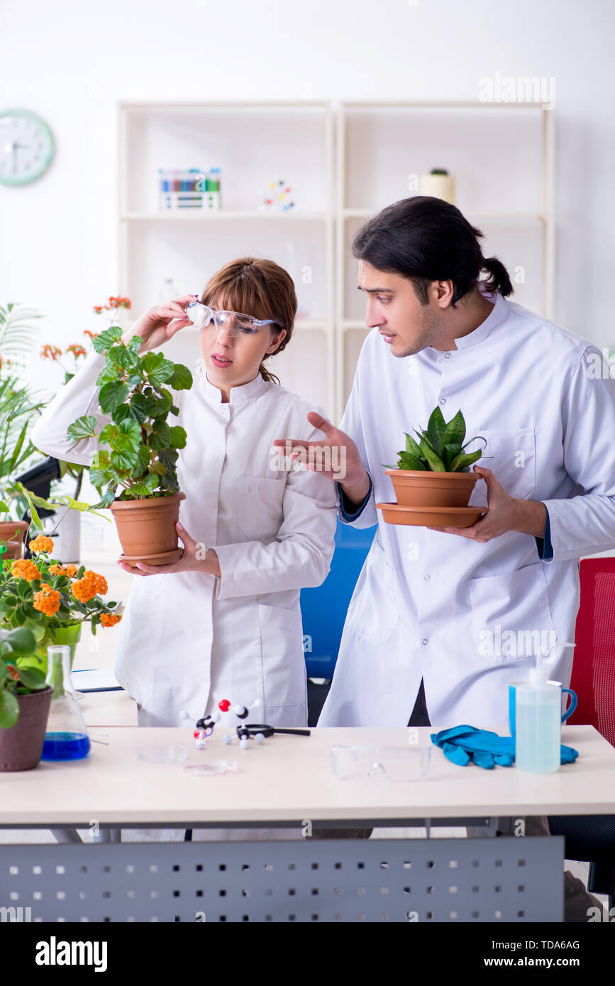 Potted seedling in lab hi-res stock photography and images - Alamy