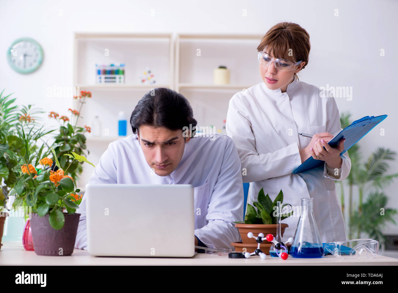 The two young botanist working in the lab Stock Photo - Alamy