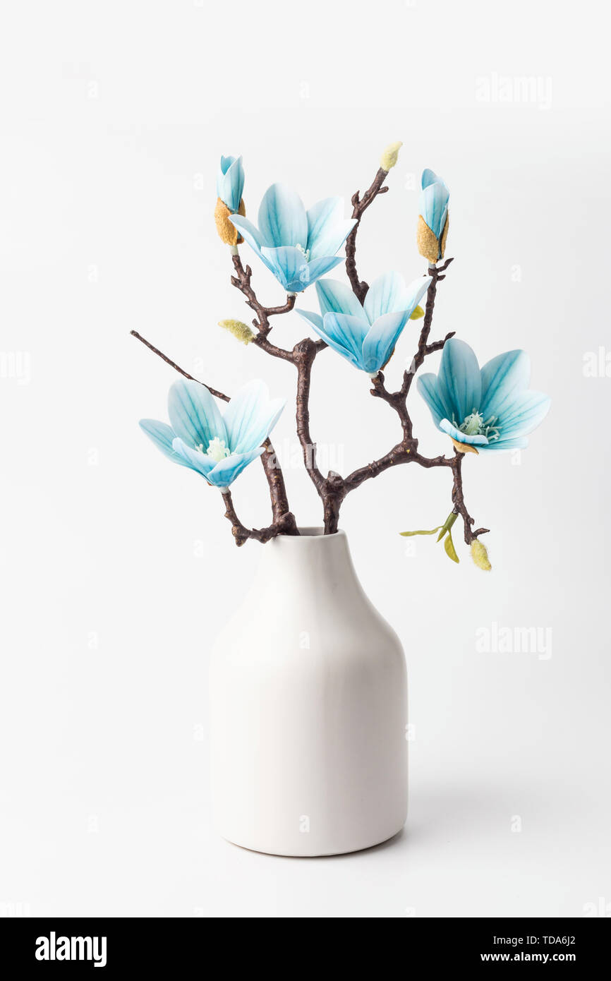 Magnolia butterflies flower hi-res stock photography and images - Alamy