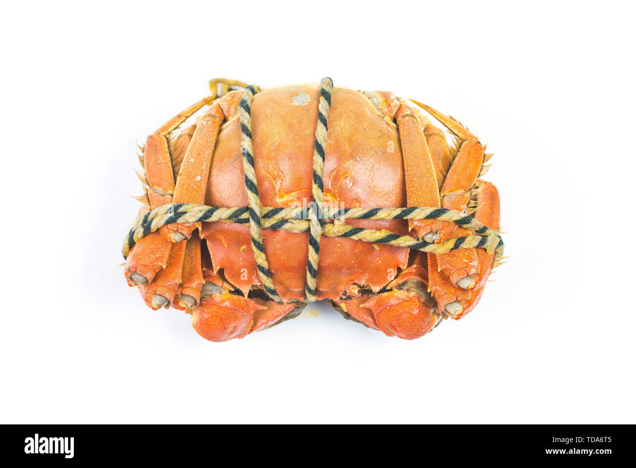 Small orange crabs hi-res stock photography and images - Alamy