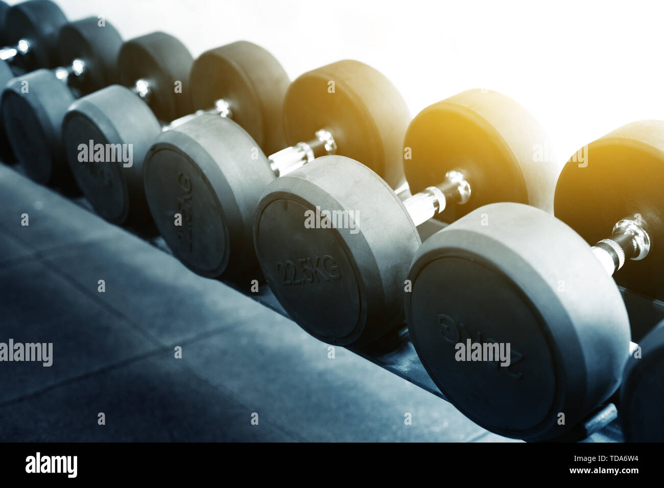 Fitness apparatus hi-res stock photography and images - Alamy