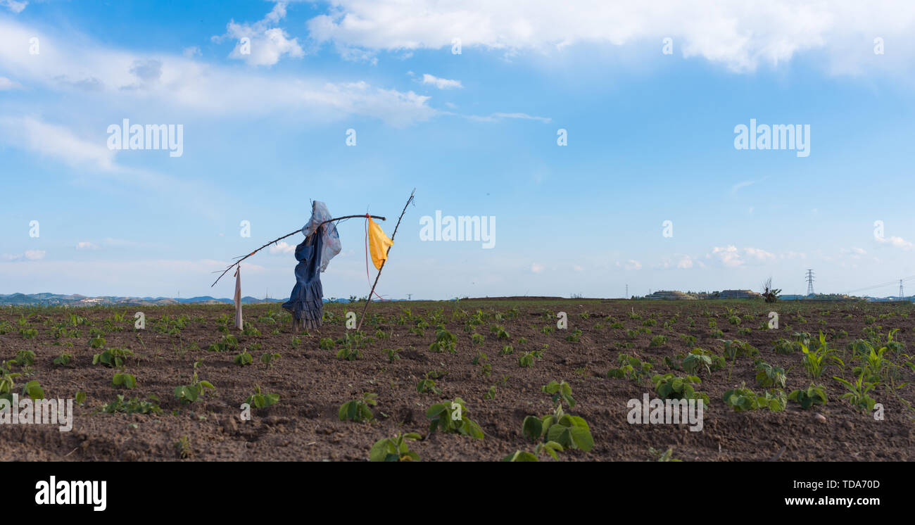 Outdoor daylight farms hi-res stock photography and images - Alamy
