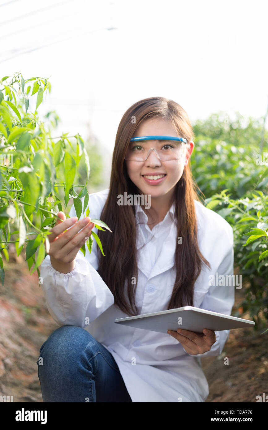 Asian woman in eyeglasses working hi-res stock photography and images ...