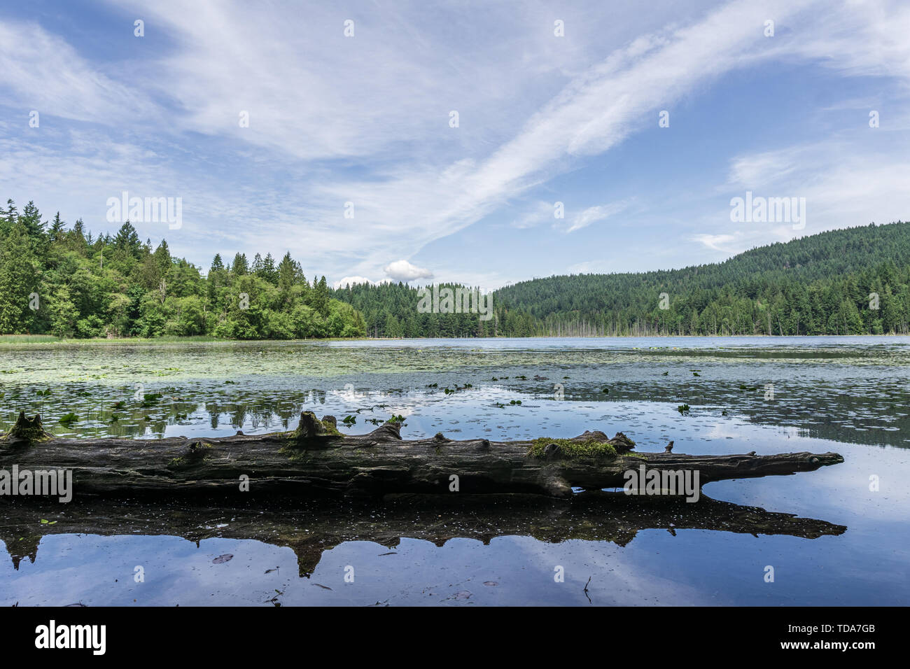 Killarney lake bowen island hi-res stock photography and images - Alamy
