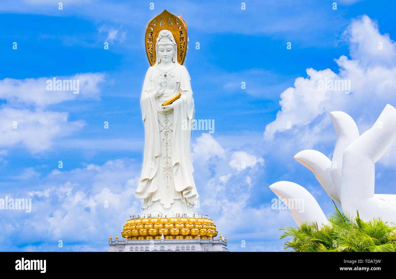 The guanyin of nanshan hi-res stock photography and images - Alamy