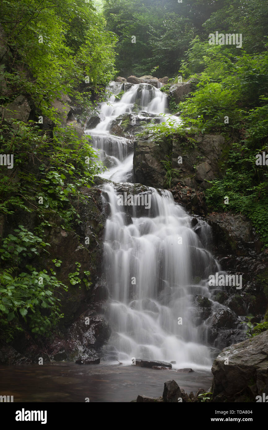 Greenstone rock hi-res stock photography and images - Alamy