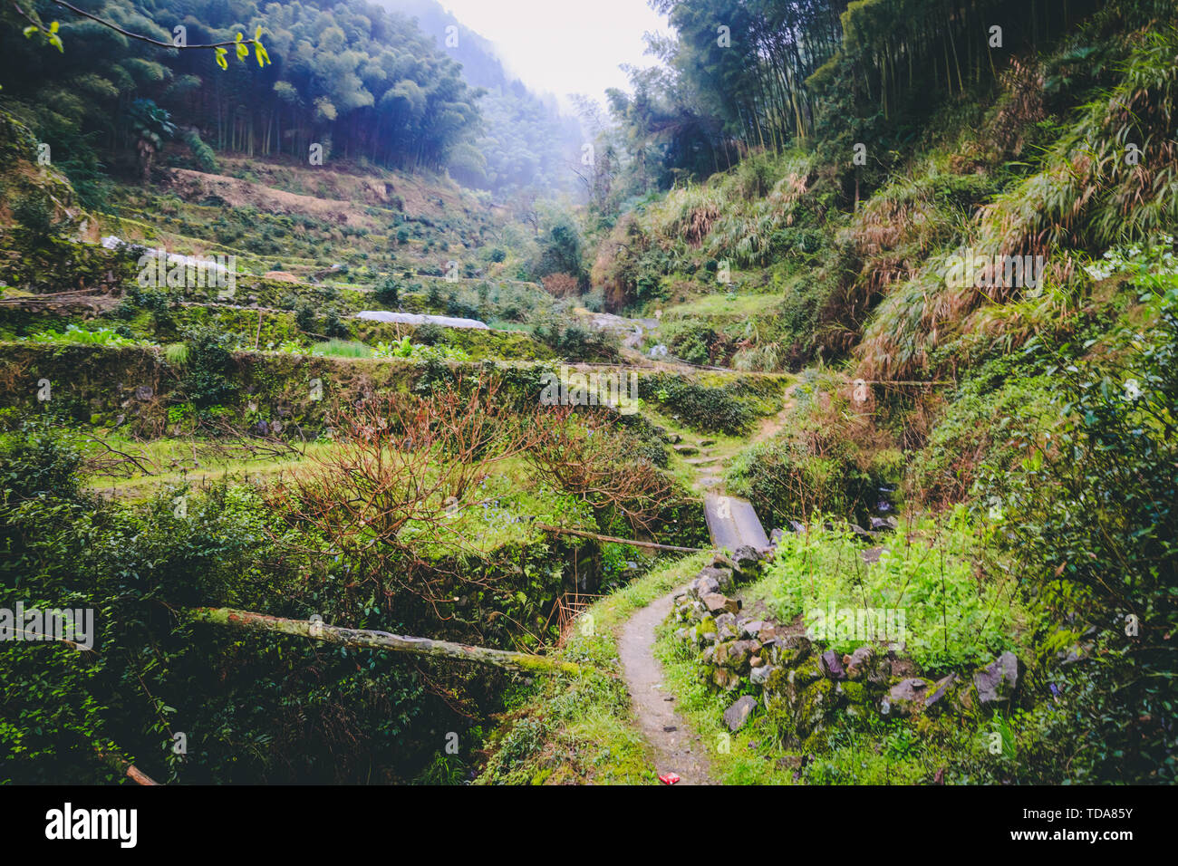 Zhejiang lishui and nature scenery hi-res stock photography and images ...