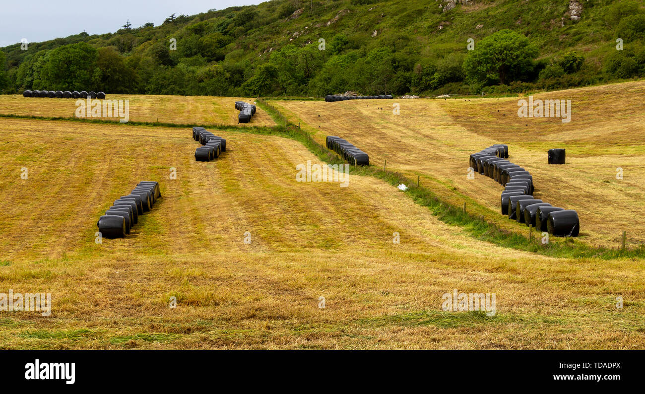 Castlehaven west cork ireland hi-res stock photography and images - Alamy