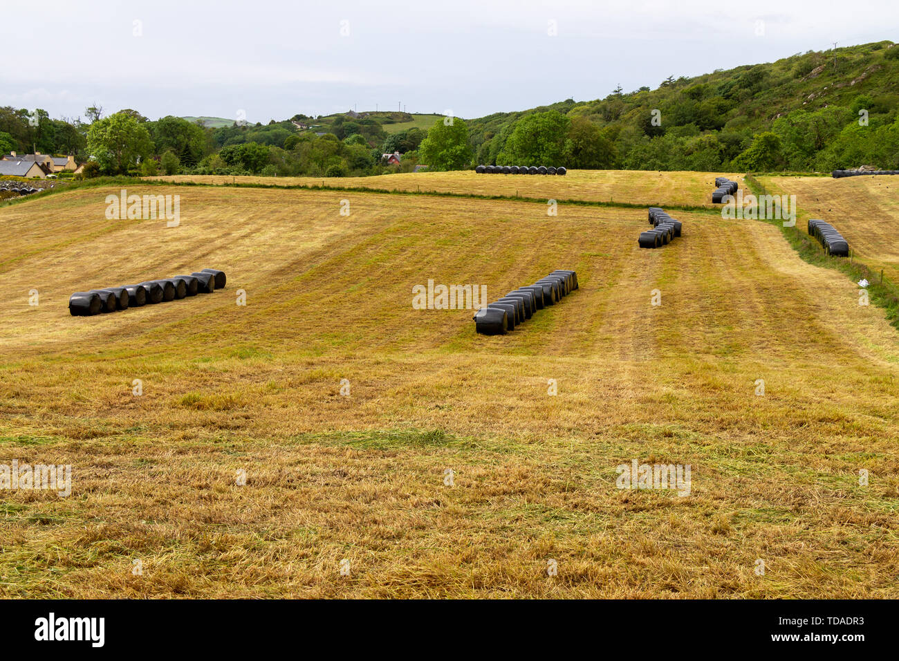 Castlehaven west cork ireland hi-res stock photography and images - Alamy
