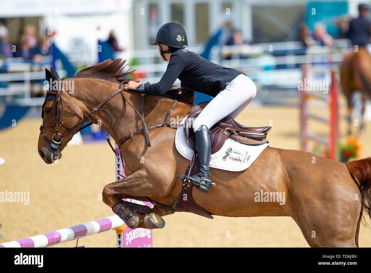 Bolesworth showjumping hi-res stock photography and images - Alamy