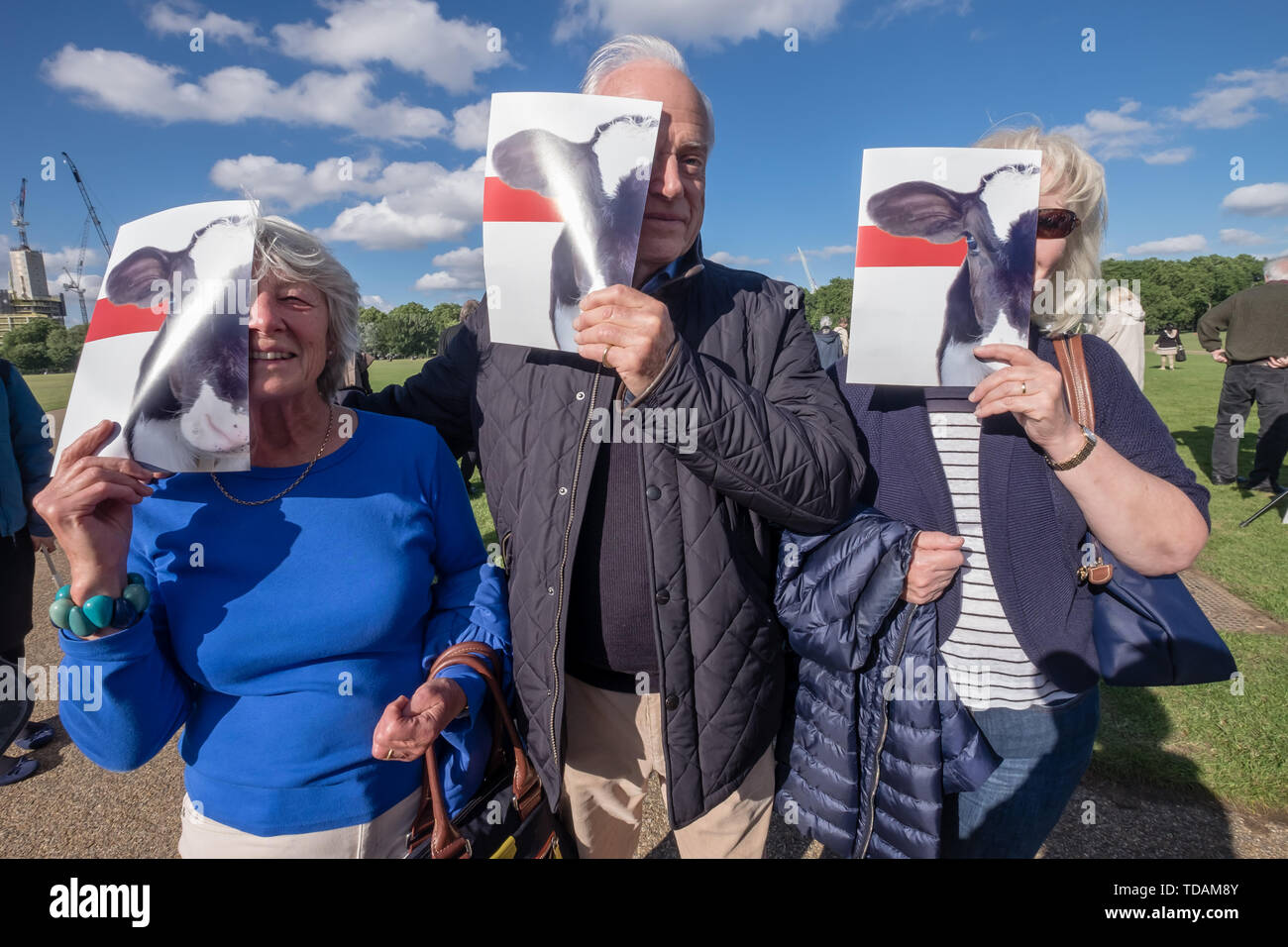 London, UK. 14th June 2019. Compassion in World Farming rally in Hyde ...