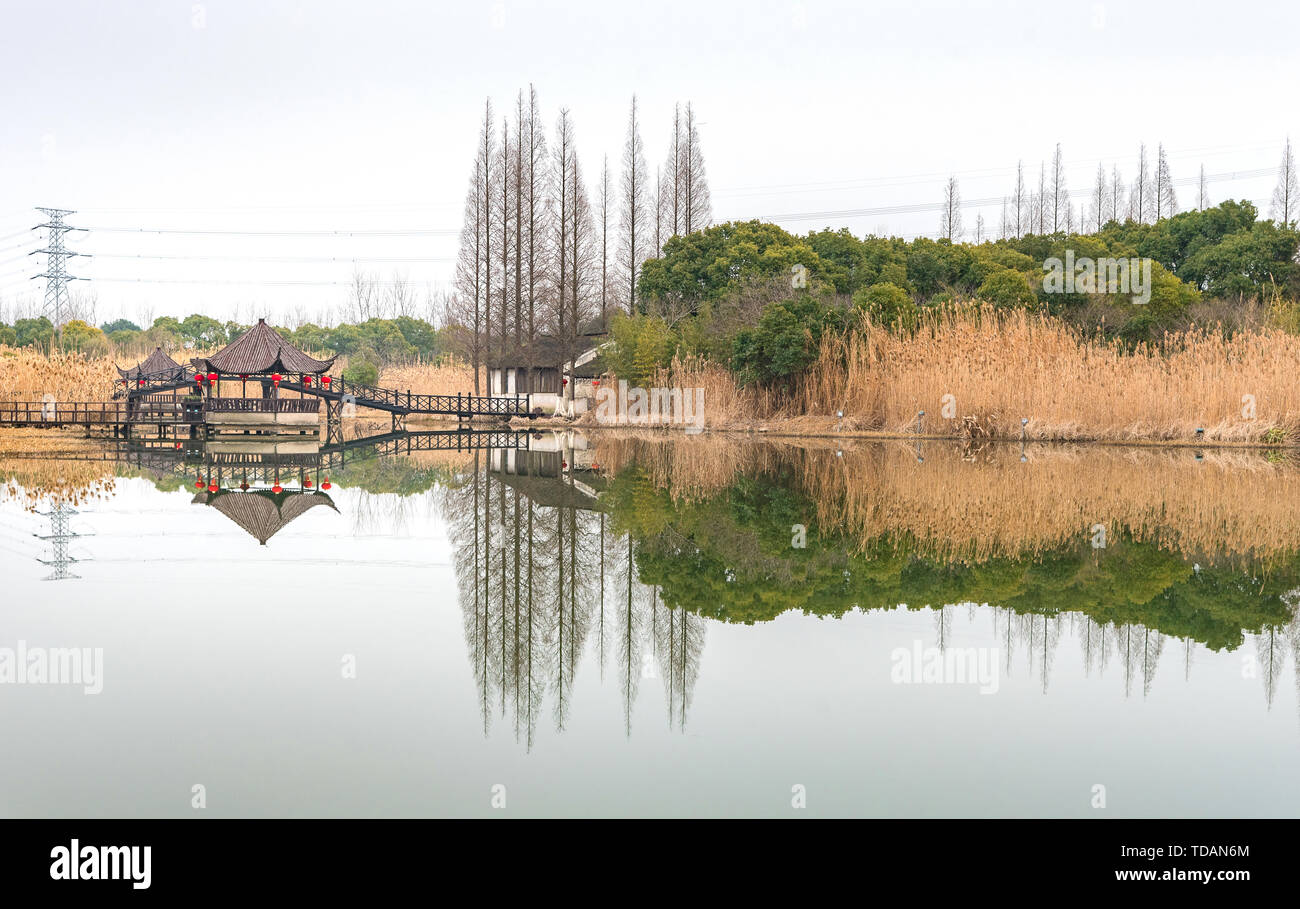 Shajiabang reed scenic spot hi-res stock photography and images - Alamy