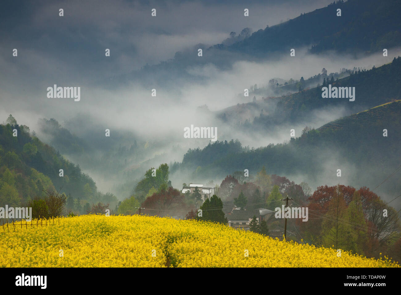 Shi tan hi-res stock photography and images - Alamy