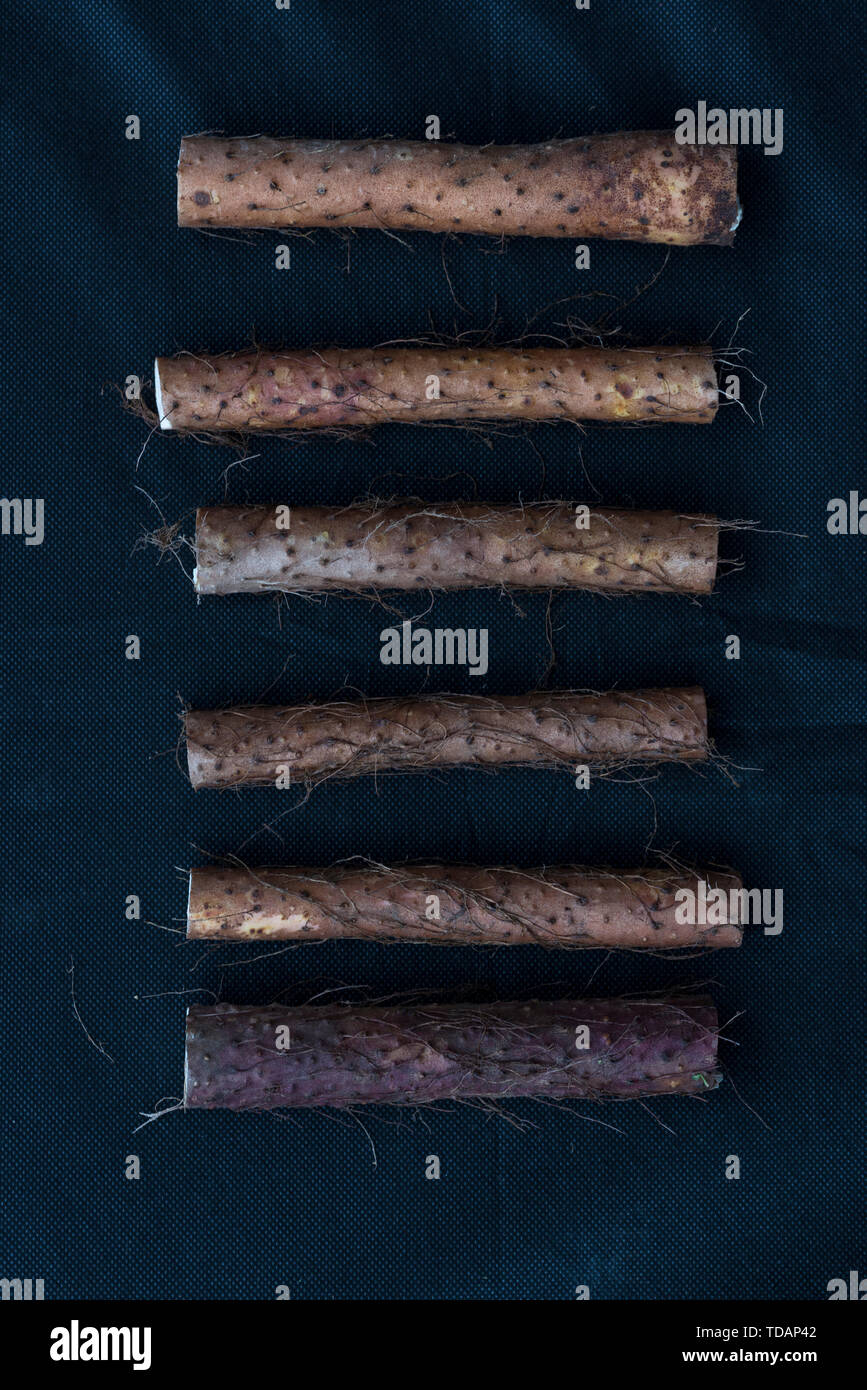 Iron bar yam hi-res stock photography and images - Alamy