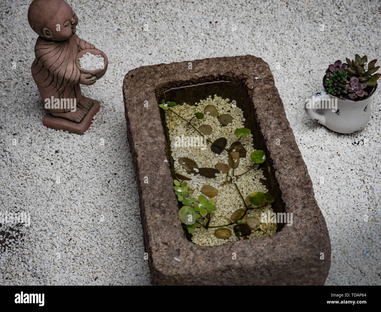 No human stone leaves hi-res stock photography and images - Alamy