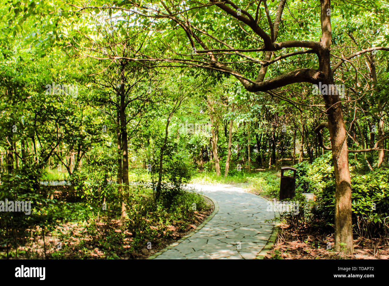 Scenery of Gucun Park in Shanghai Stock Photo - Alamy