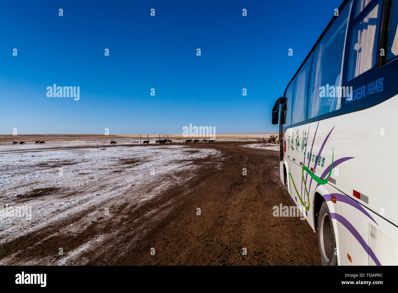 Hailar prairie tribe Stock Photo - Alamy