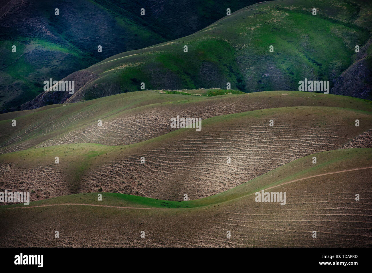 Undulating terrain hi-res stock photography and images - Alamy