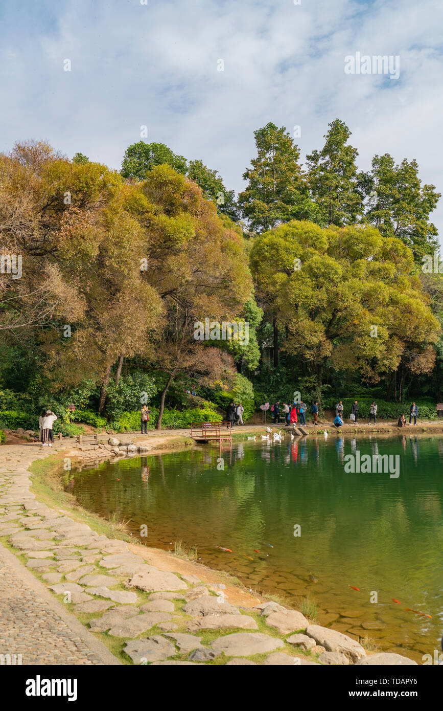 Butterfly spring scenery Stock Photo - Alamy