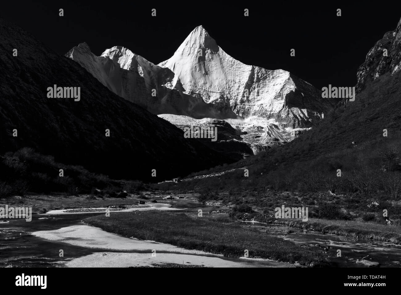 Yangmai hi-res stock photography and images - Alamy