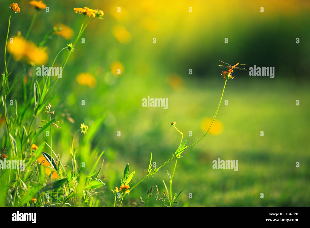 Brief pause hi-res stock photography and images - Alamy
