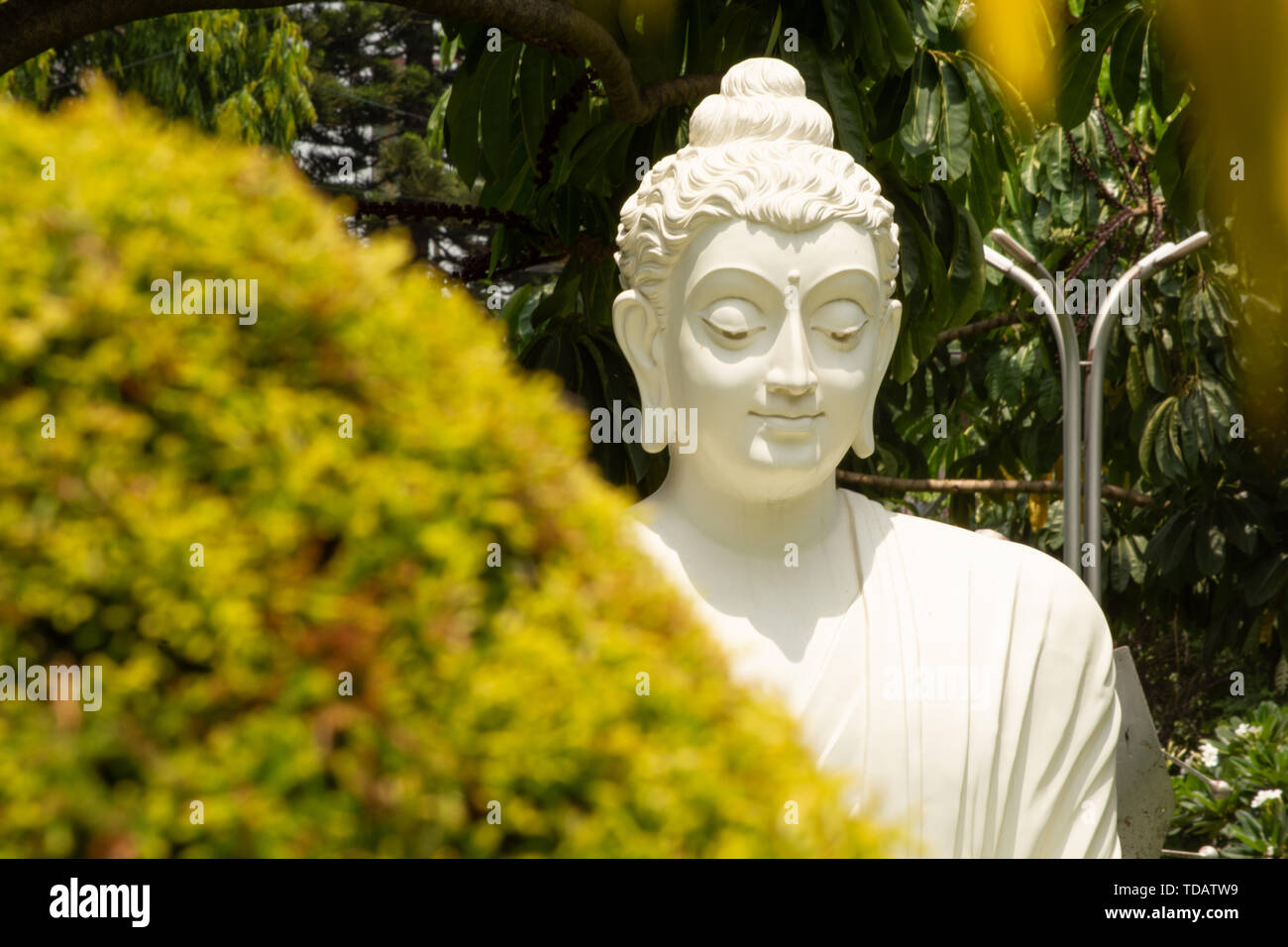 White buddha hi-res stock photography and images - Alamy