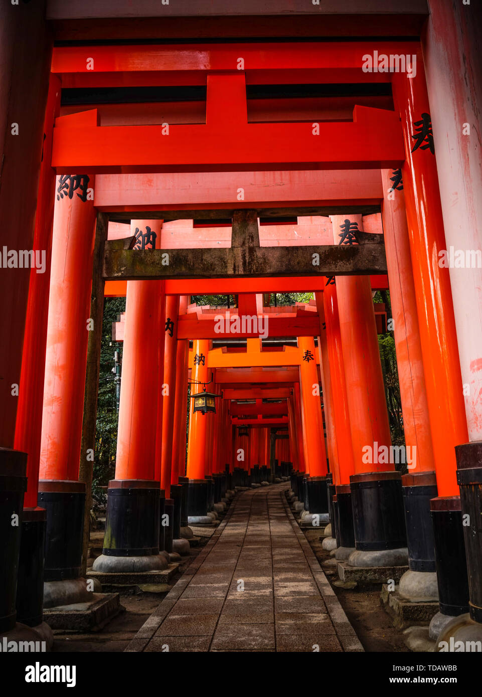 Kyoto, Japan - Apr 5, 2014. Thousands vermilion Torii gates of Fushimi ...