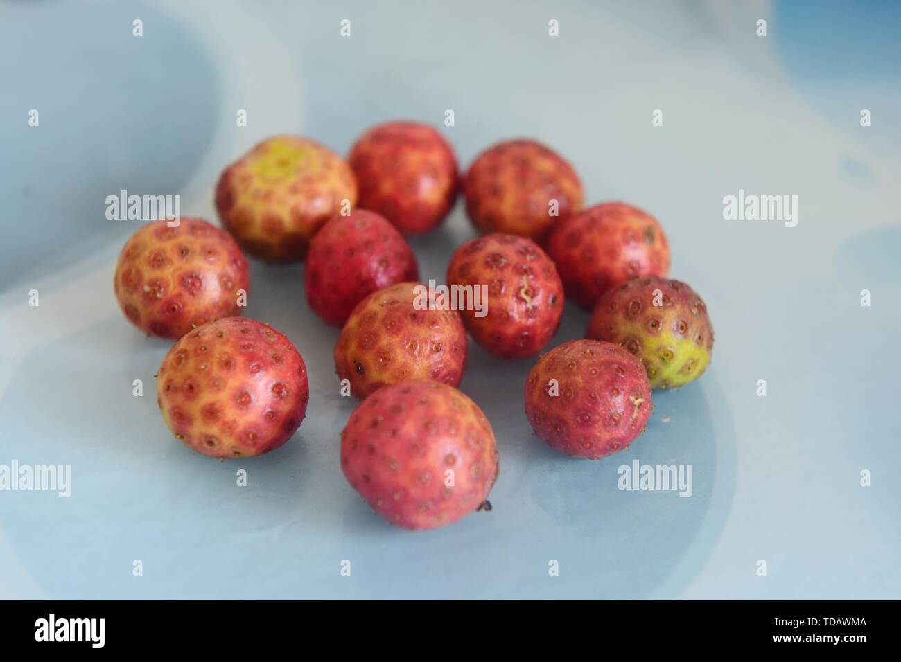 Wild lychee hi-res stock photography and images - Alamy