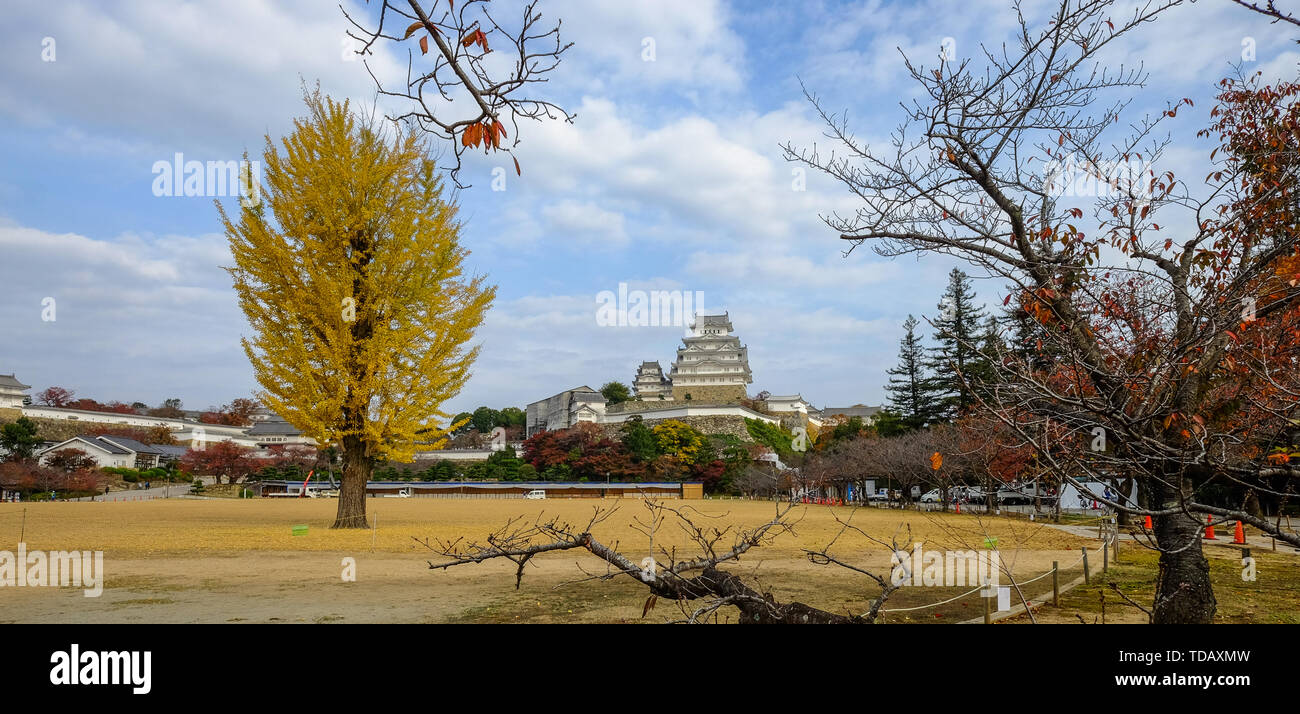 Himeji Castle and ginkgo tree in autumn. The castle is Japan unique ...