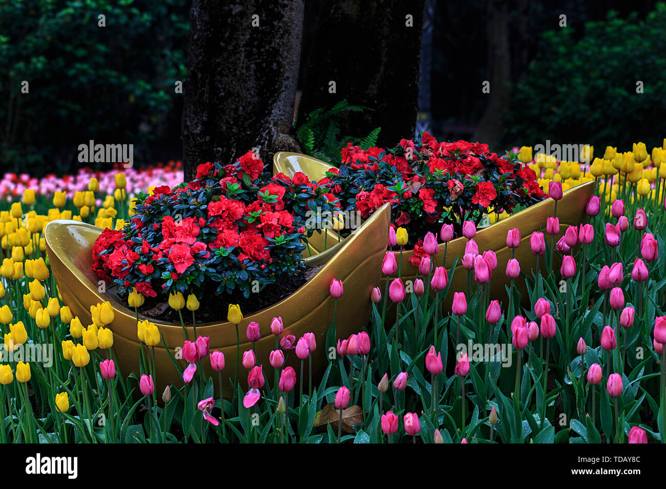 Temple fairs, Chinese New Year, blessings, incense, tulips, food ...