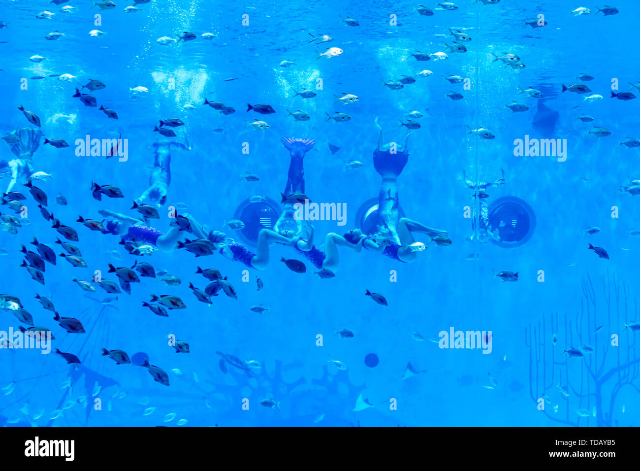 Mermaid performance at Haichang Ocean Park, Shanghai Stock Photo - Alamy