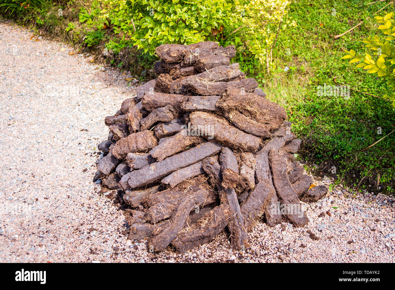 Pile of brown peat bricks drying in sunlight on green grass, fuel to be ...