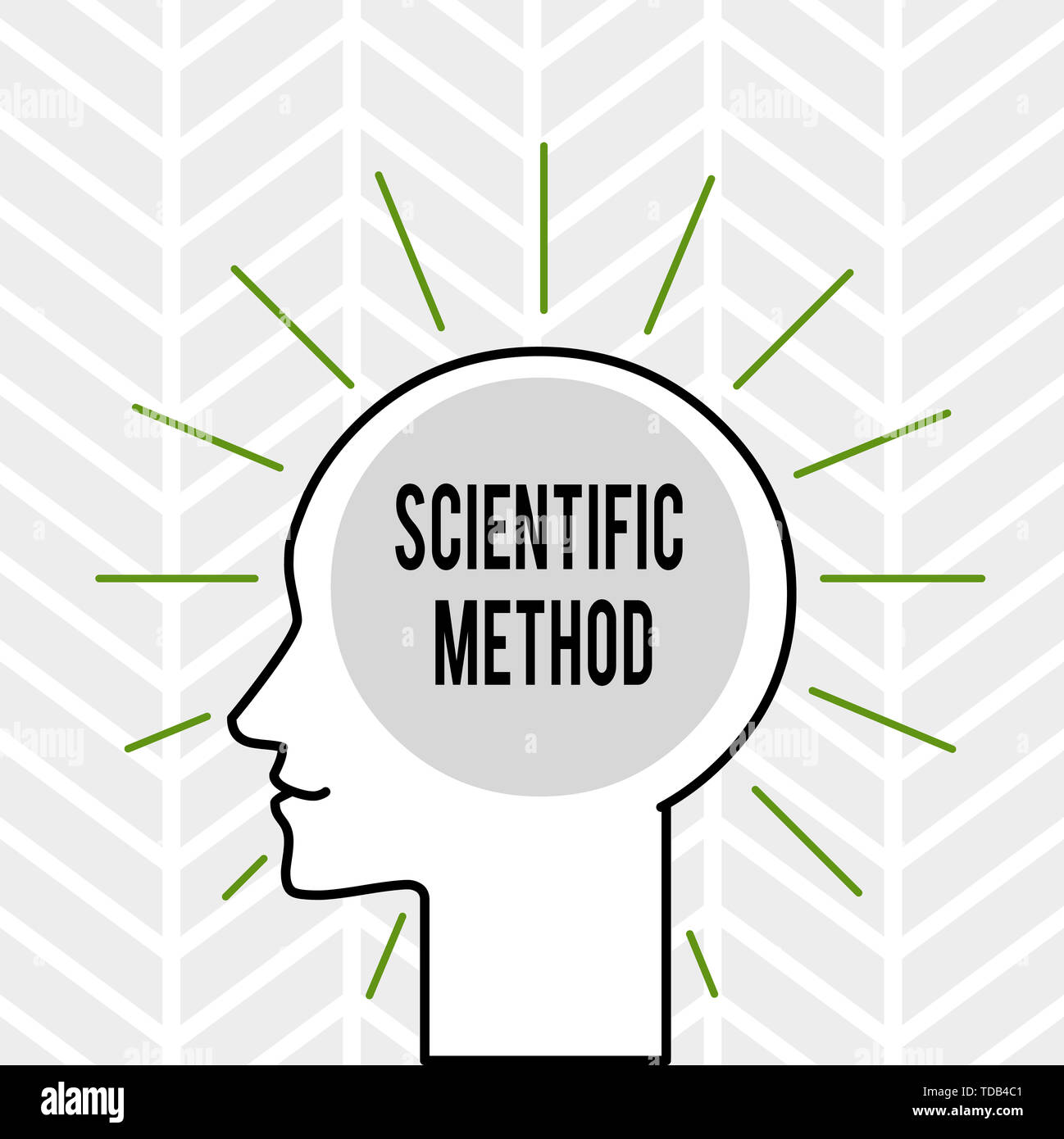 Handwriting text writing Scientific Method. Conceptual photo Principles ...