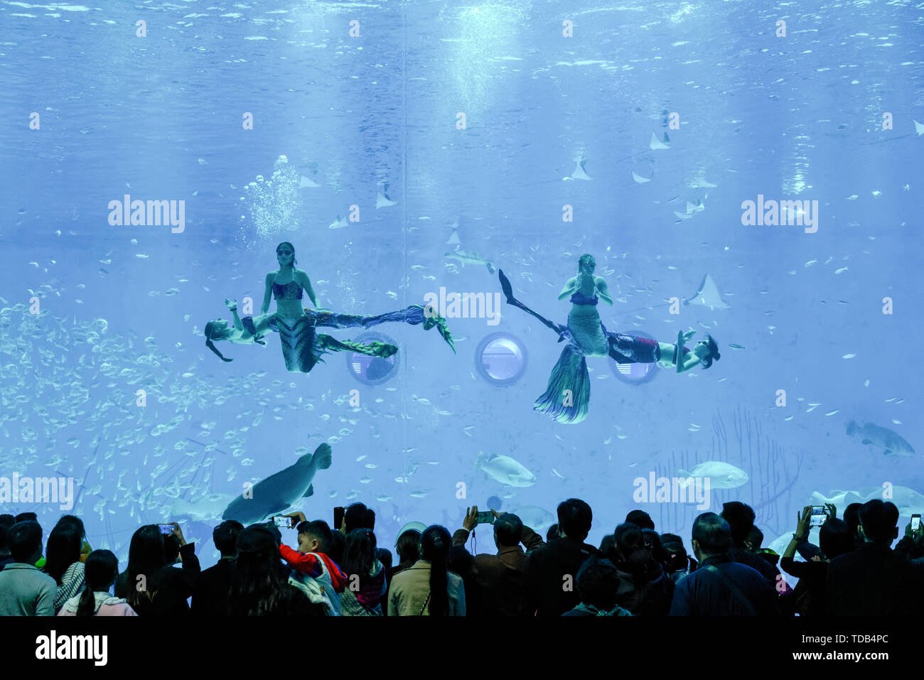 Mermaid performance at Haichang Ocean Park, Shanghai Stock Photo - Alamy